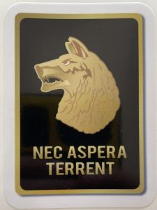 US Army 27th Infantry Regiment "Wolfhounds" Sticker - Decal Patch - Co