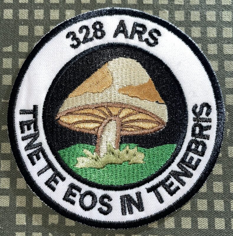 USAF 328th ARS Tactical Airlift Squadron "Tenete EOS in Tenebris" Patch ...