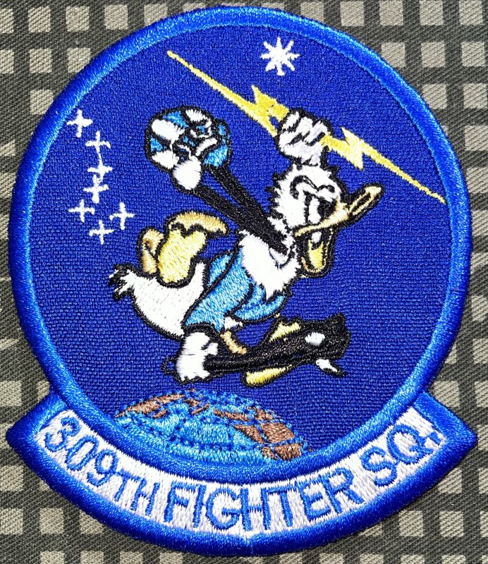 USAF 309th Fighter Sq Duck Viper Driver Graduate Patch - Decal Patch - Co